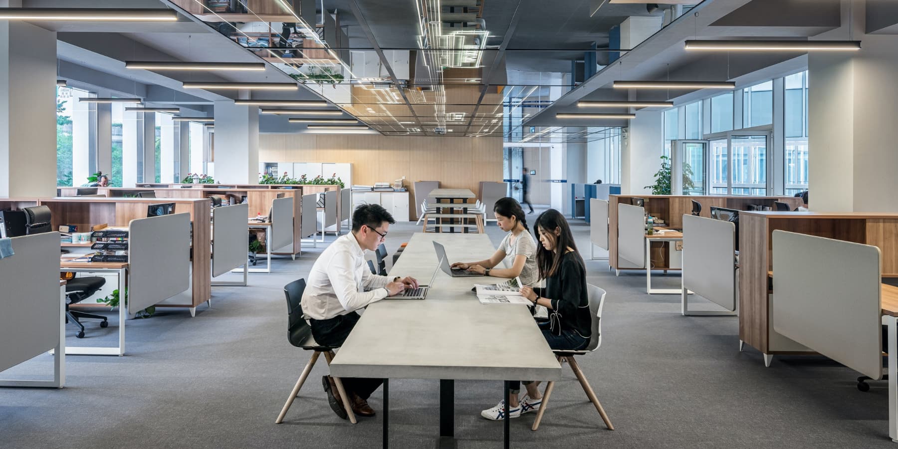 Office Space Guide - The Blue Standard