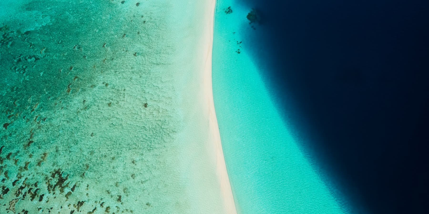 Blue Consultant Network - The Blue Standard